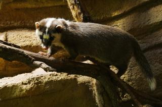 ZootierlisteHomepage