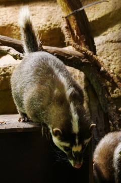 ZootierlisteHomepage