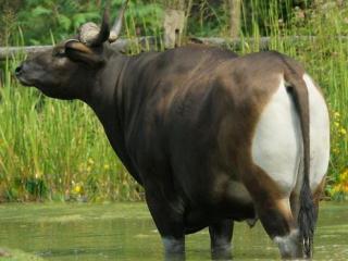 ZootierlisteHomepage