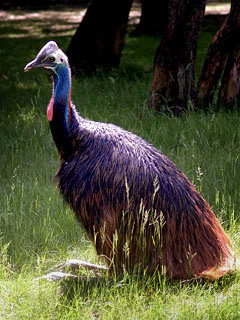 ZootierlisteHomepage