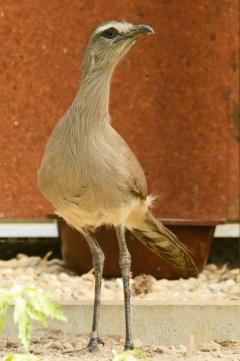www.Zootierliste.de