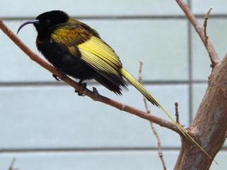 www.Zootierliste.de