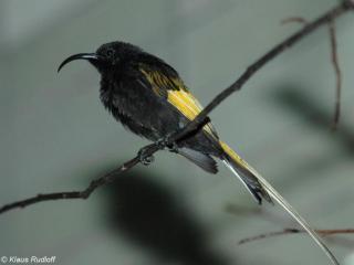 www.Zootierliste.de