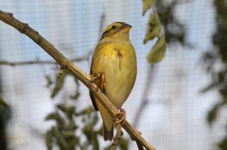 ZootierlisteHomepage