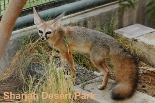 ZootierlisteHomepage