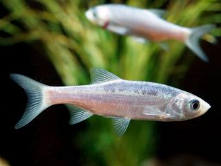 ZootierlisteHomepage