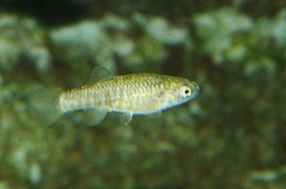 www.Zootierliste.de