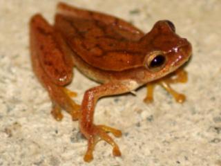 www.Zootierliste.de