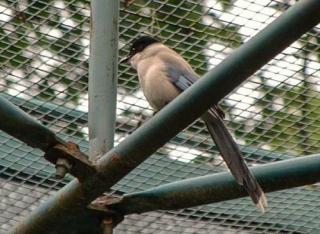 ZootierlisteHomepage