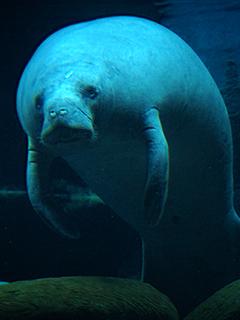 ZootierlisteHomepage