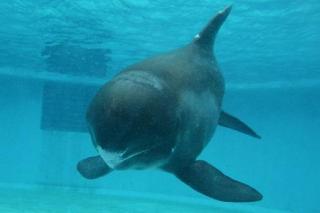 ZootierlisteHomepage