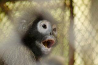 ZootierlisteHomepage